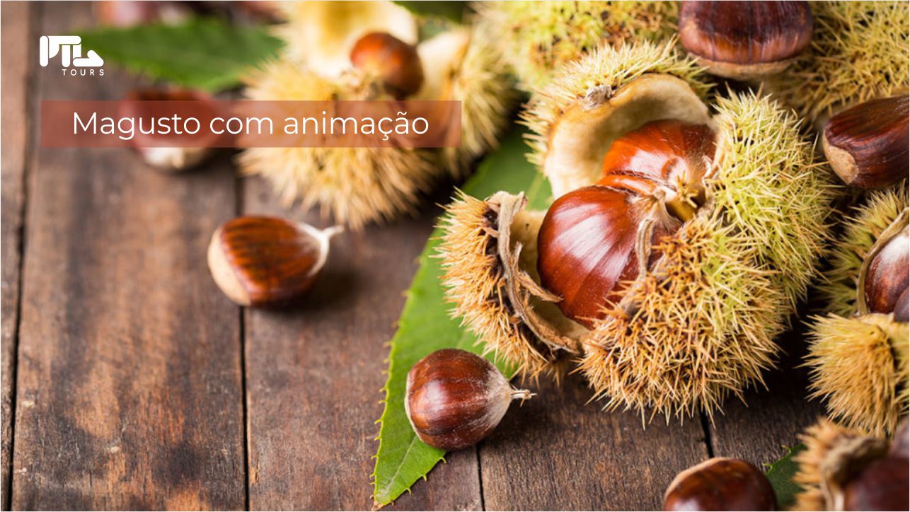 PTL TRAVELS LDA | Viagem